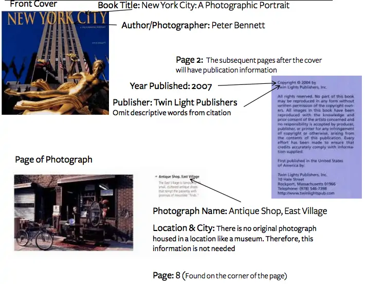 How To Cite A Picture Or Image In MLA EasyBib Citations
