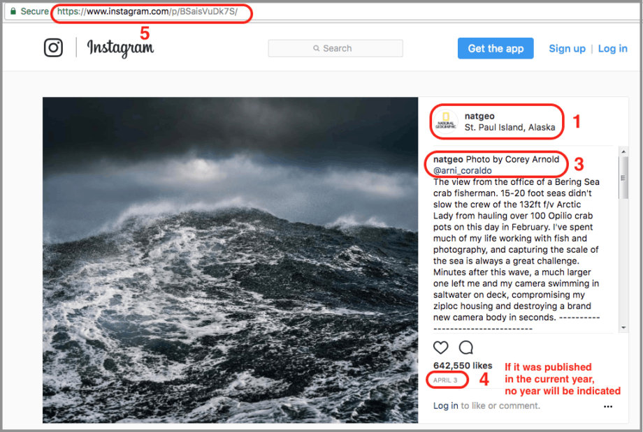 How to Cite an Instagram Post in APA, MLA or Chicago | EasyBib