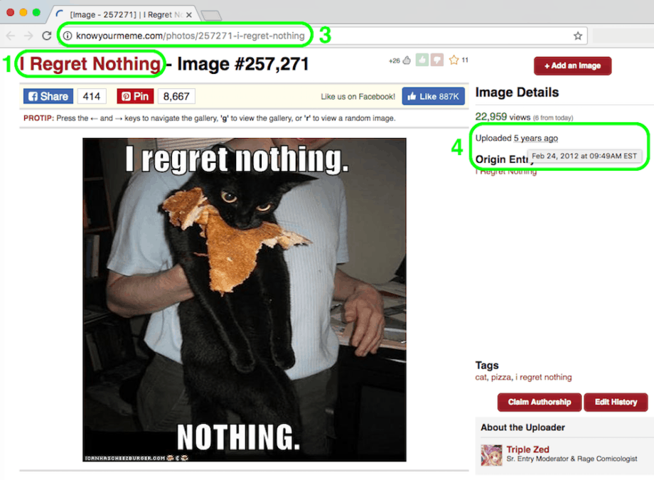 How to Cite a Meme in APA, MLA or Chicago | EasyBib