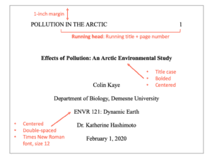 APA Format: Everything You Need to Know Here - EasyBib